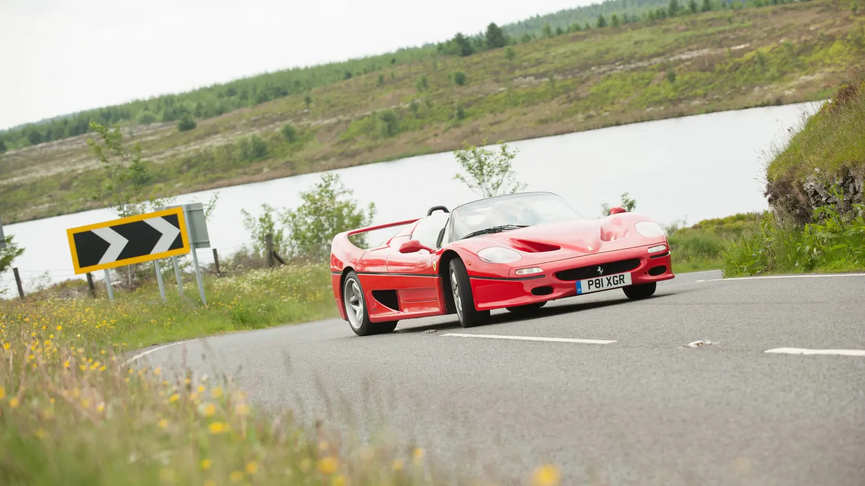 Ferrari F50 | Colors of Speed