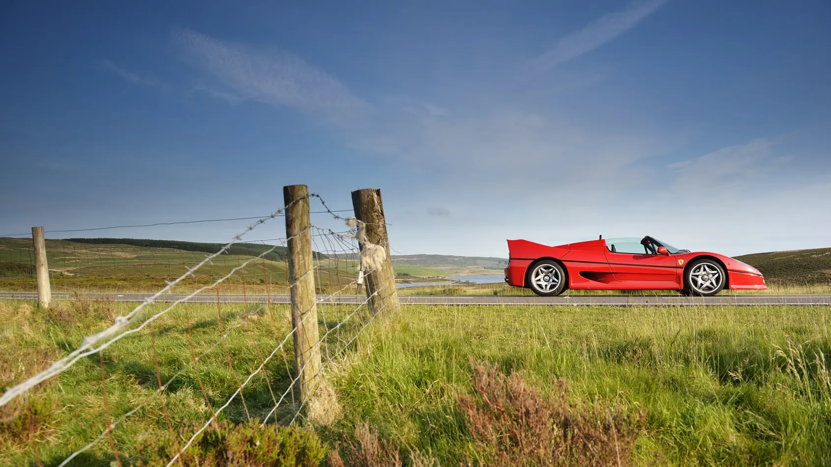 Ferrari F50 | Colors of Speed
